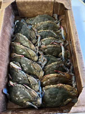 LIBERTY FISH MARKET - Updated January 2026 - 25 Photos & 18 Reviews ...