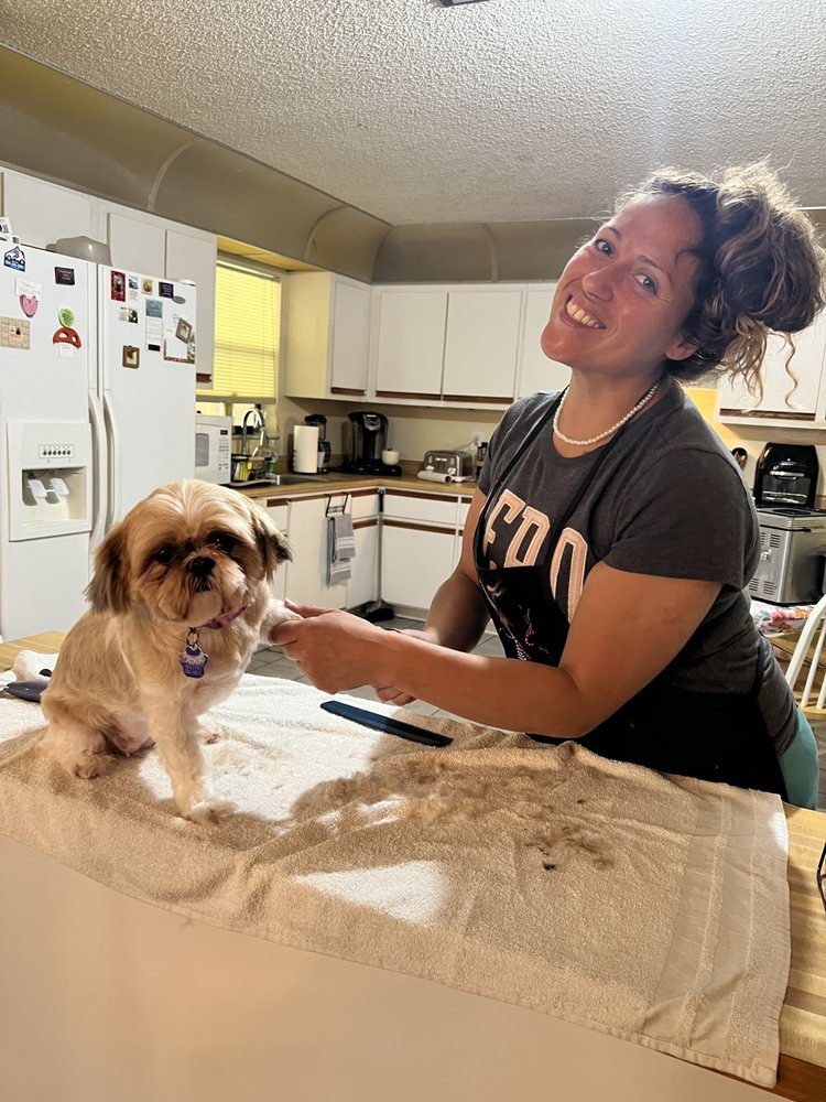 360 CANINE CARE - Request a Quote - 32 Photos - Boca Raton, Florida ...