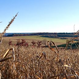 BLUE RIDGE ESTATE VINEYARD & WINERY - Updated July 2025 - 582 Photos ...