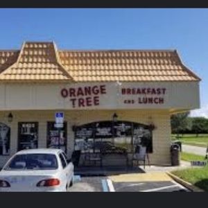 ORANGE TREE BREAKFAST & LUNCH - 112 Photos & 125 Reviews - 6400 N ...