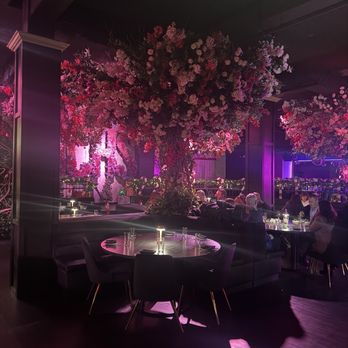 DOCKS OFF 5TH - Updated June 2025 - 343 Photos & 67 Reviews - 25 W 51st ...