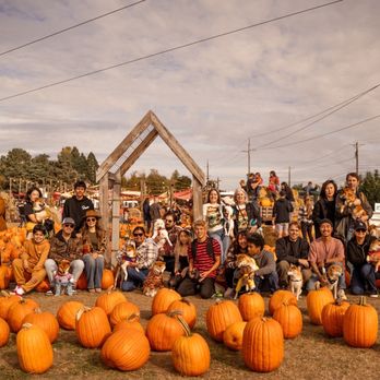 YESTERYEAR FARMS - Updated October 2025 - 200 Photos & 114 Reviews ...