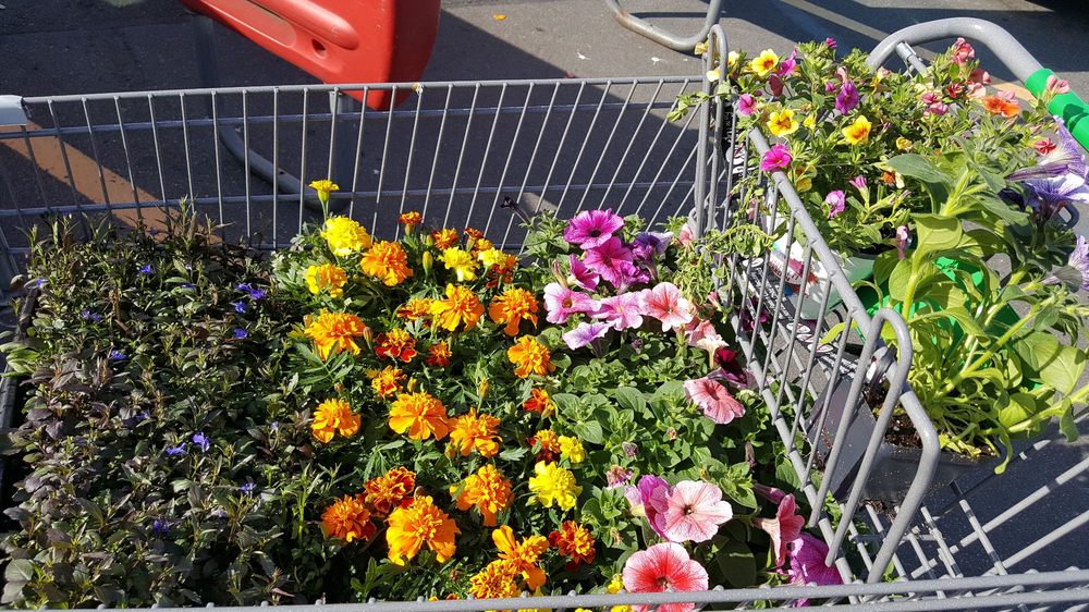 FRED MEYER - 48 Photos & 114 Reviews - 18325 Aurora Ave N, Shoreline ...