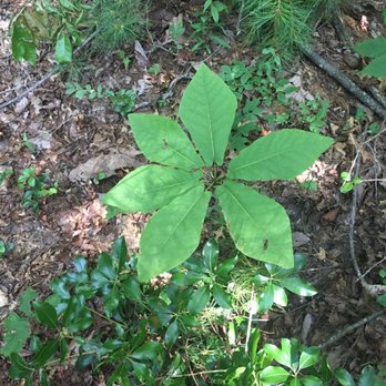 THE SUMMIT BECHTEL FAMILY NATIONAL SCOUT RESERVE - Updated November ...