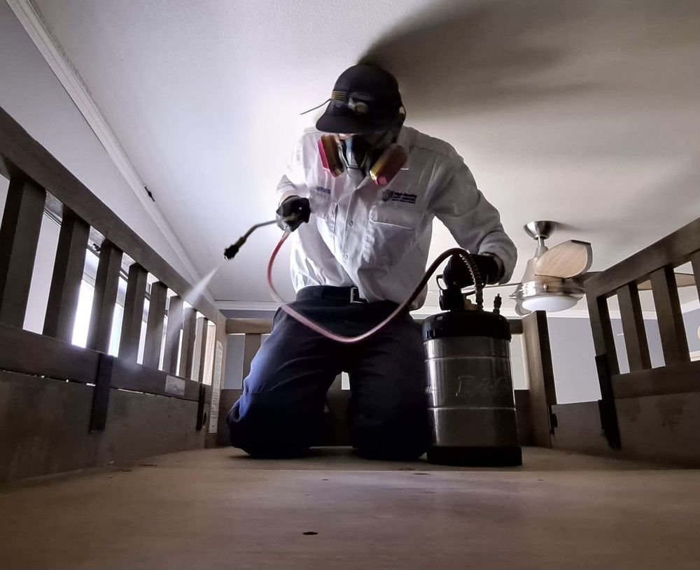 HIGH QUALITY PEST CONTROL - Updated October 2025 - 29 Photos & 86 ...