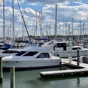 SURF RIDER EAST BEACH - 104 Photos & 42 Reviews - Burgers - 9500 30th ...