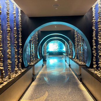 AZUREA - Updated July 2025 - 555 Photos & 206 Reviews - 1 Ocean Blvd ...