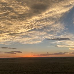 BEAVER TACO - Updated September 2024 - 222 Photos & 329 Reviews - 1451 ...