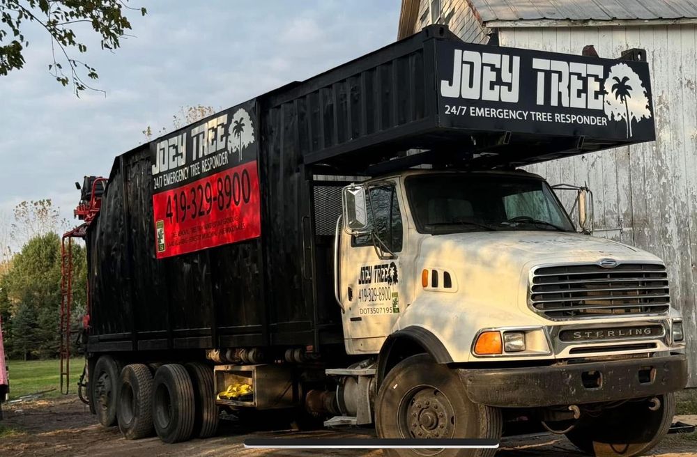 JOEY TREE - Updated December 2025 - Toledo, Ohio - Tree Services ...