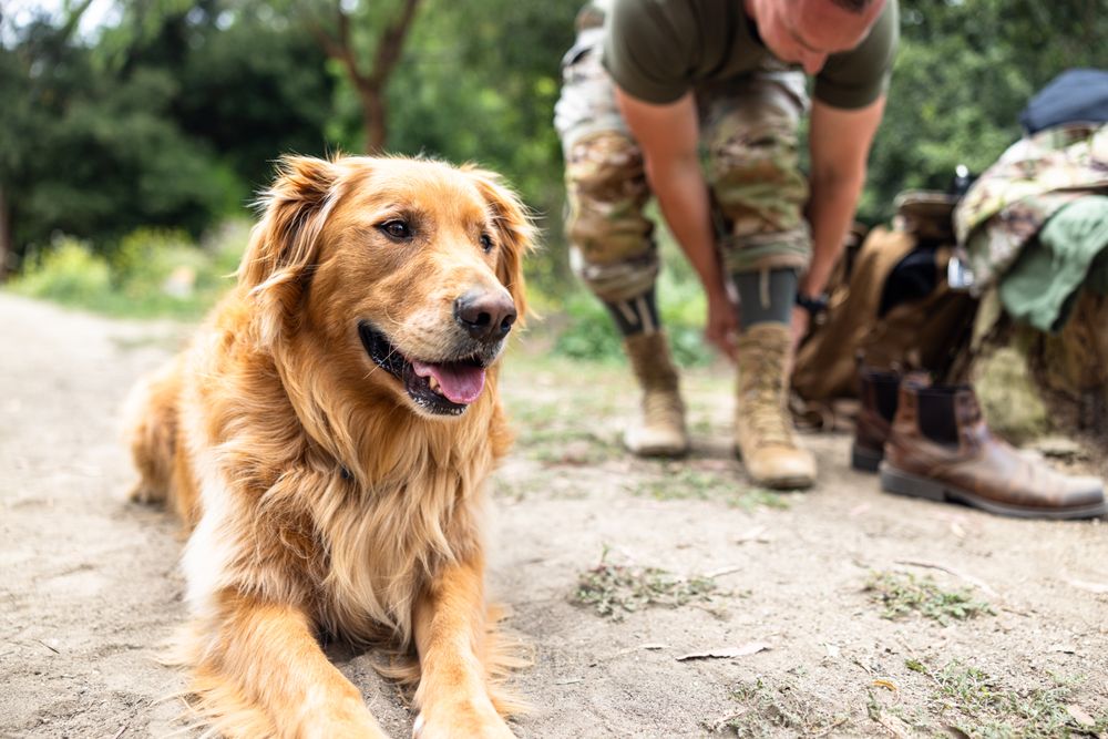 RANGER JO COFFEE - Updated July 2025 - Los Angeles, California - Coffee ...