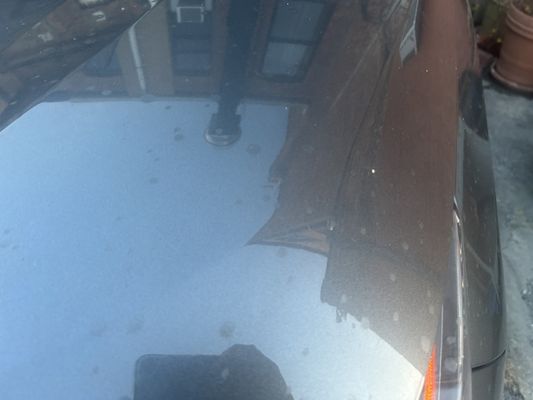 ROYAL WASTE SERVICES - Updated October 2025 - 18 Photos & 14 Reviews ...