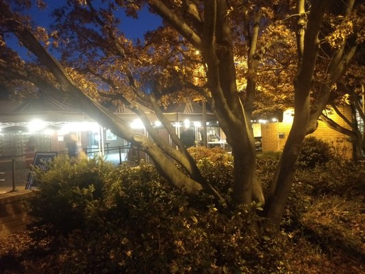 SUNNYVALE PUBLIC LIBRARY - Updated December 2024 - 288 Photos & 179 ...