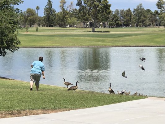 DOBSON RANCH PARK - 233 Photos & 17 Reviews - 2359 Dobson Rd, Mesa ...