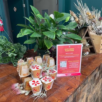 PLANTOEM - Updated June 2024 - 446 Photos & 97 Reviews - 3457 Waialae ...