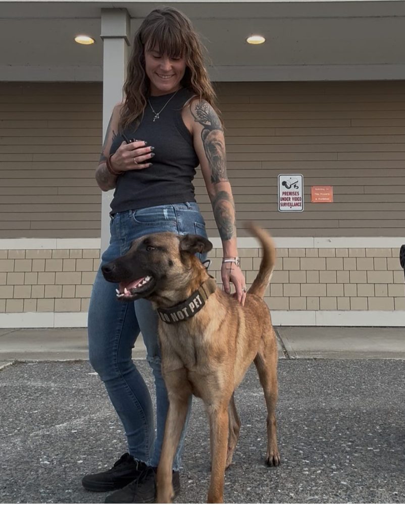 INTUITIVE WOLF K9 TRAINING - Updated October 2025 - Westford, Vermont - Pet Training - Phone ...