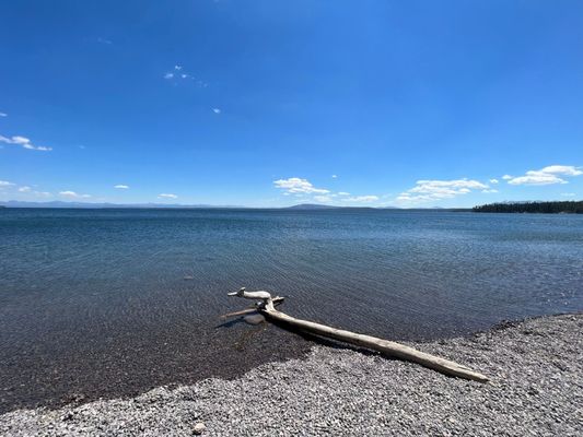 BIGHORN NATIONAL FOREST RED GRADE ROAD - Updated August 2025 - 26 ...