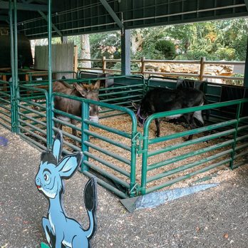 REMLINGER FARMS - Updated August 2024 - 587 Photos & 257 Reviews ...