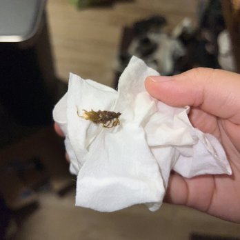 EAST BAY VIVARIUM - Updated November 2024 - 601 Photos & 587 Reviews ...