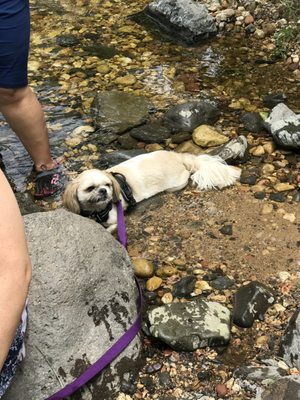 BOOTLEGGER PICNIC AREA - 12 Photos - Arizona 89A, Sedona, Arizona ...