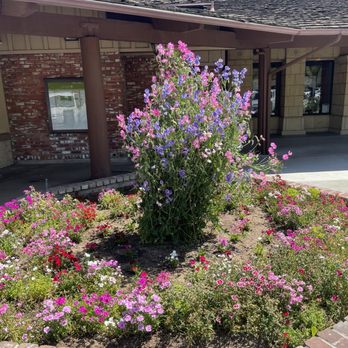 FIG GARDEN VILLAGE - Updated January 2026 - 64 Photos & 54 Reviews ...