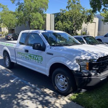PRO ACTIVE PEST CONTROL - Updated June 2024 - 26 Photos & 164 Reviews ...