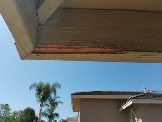 KILTER TERMITE & PEST CONTROL - Updated July 2025 - 23 Photos & 150 ...