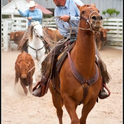 GEORGE RANCH HISTORICAL PARK - 99 Photos & 41 Reviews - 10215 Fm 762 ...