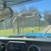 EUDORA WILDLIFE SAFARI PARK - 161 Photos & 28 Reviews - 219 Salem Ln ...