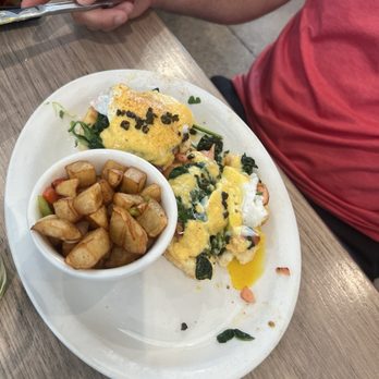 HASH KITCHEN ARCADIA - Updated July 2024 - 1994 Photos & 1511 Reviews - 4315 E Indian School Rd ...