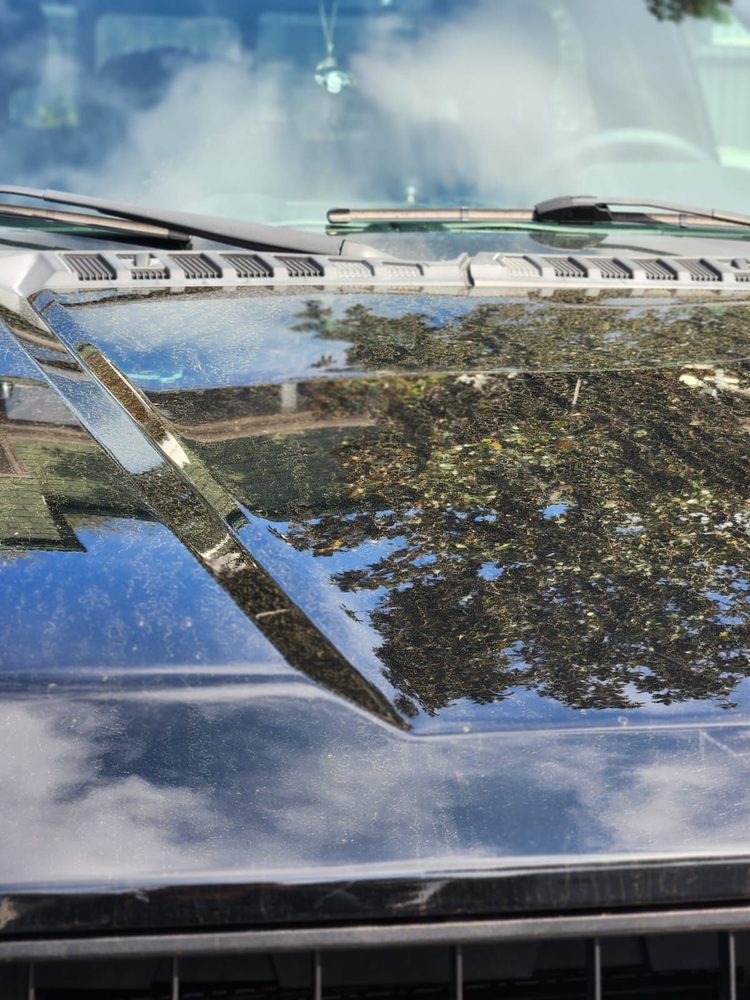 FERMAN COLLISION CENTER - NORTH TAMPA - Updated July 2025 - 12 Photos ...