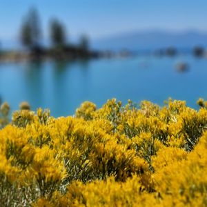 PATTON BEACH - 19 Photos & 14 Reviews - 5002 North Lake Blvd, Carnelian ...