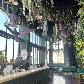 SOMEWHERE NOWHERE NYC - LOUNGE, NIGHTCLUB & ROOFTOP POOL - Updated May ...