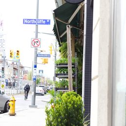CANO RESTAURANT - Updated June 2026 - 262 Photos & 90 Reviews - 1108 St ...