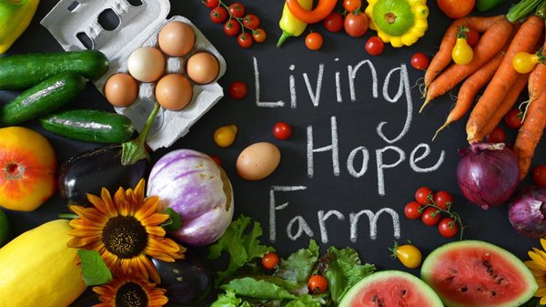 LIVING HOPE FARM - Updated May 2026 - 27 Photos - 461 Indian Creek Rd ...