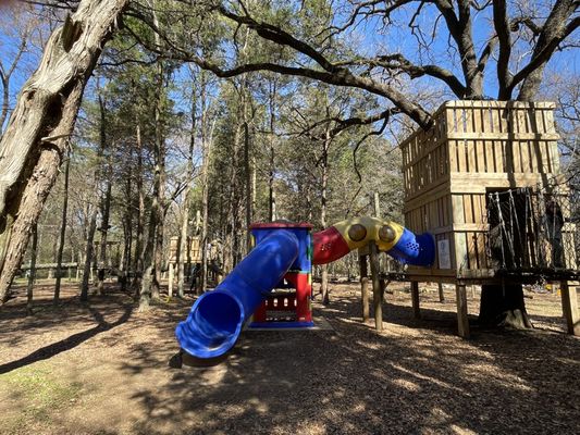 TRINITY FOREST ADVENTURE PARK - Updated October 2025 - 153 Photos & 82 ...