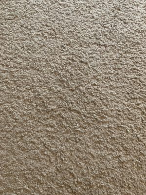 REDPOINT GAINESVILLE - Updated October 2025 - 43 Photos & 38 Reviews ...