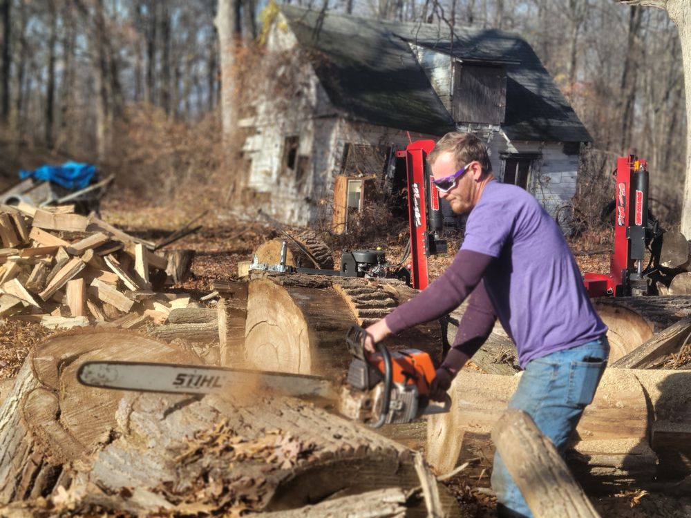 THE WORKING MAN TREE SERVICE - Updated October 2025 - Flat Rock, Michigan - Tree Services ...