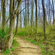 HARMONY HILL NATURE AREA - 36 Photos - 1200 Skelp Level Rd, Downingtown ...