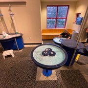 WONDERLAB MUSEUM OF SCIENCE HEALTH & TECHNOLOGY - 137 Photos & 28 ...