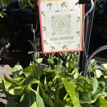 SPRING VALLEY SWAP MEET - Updated December 2025 - 440 Photos & 199 ...