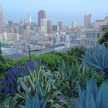 INA COOLBRITH PARK - Updated September 2025 - 375 Photos & 94 Reviews ...