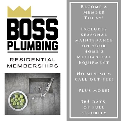 Boss Plumbing - Updated January 2026 - 418 Photos - 10-327 Gladstone ...
