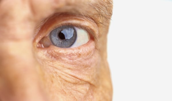 PHILLIPS EYE INSTITUTE - Updated December 2025 - 15 Photos - 913 East ...