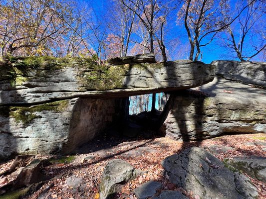 COOK FOREST STATE PARK - Updated September 2025 - 57 Photos & 14 ...