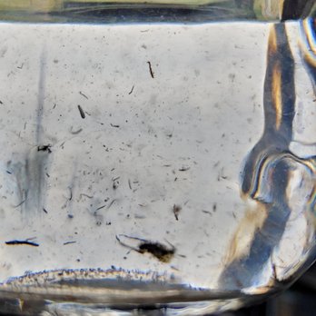 PROLINE MANAGEMENT - Updated December 2025 - 16 Photos & 10 Reviews ...