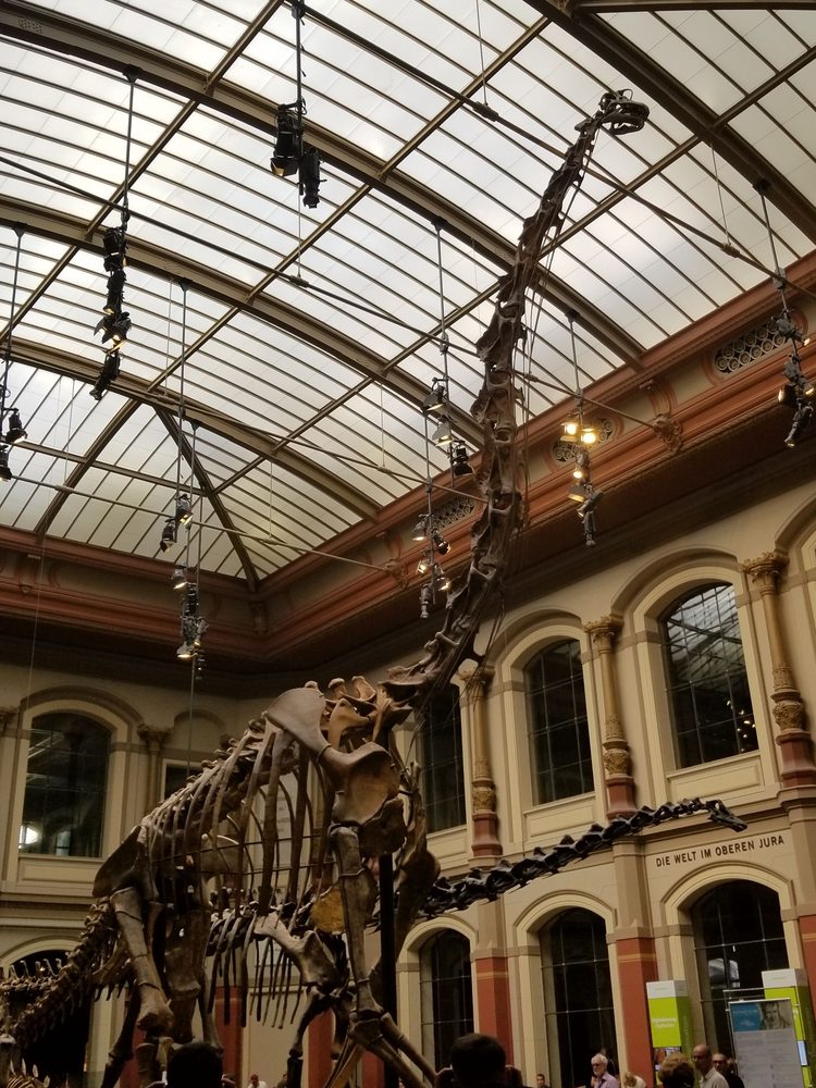 MUSEUM FÜR NATURKUNDE - 526 Photos & 142 Reviews - Invalidenstr. 43 ...