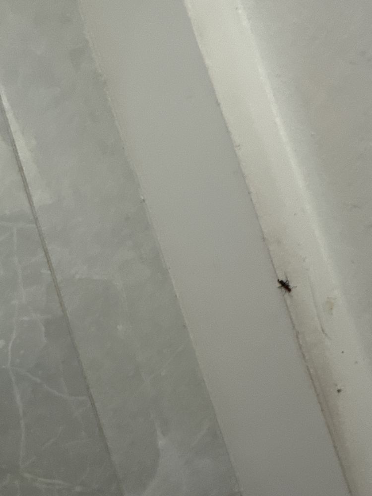 HUGHES EXTERMINATORS - Updated July 2025 - 10 Reviews - 926 SE 14th ...