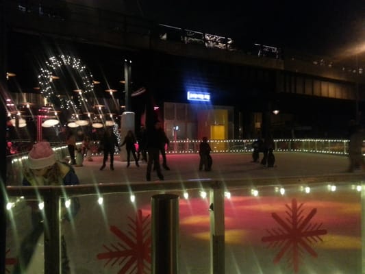 THE STANDARD ICE RINK - Updated December 2025 - 10 Photos - 848 ...