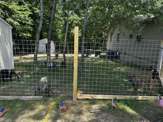 COPPER CHICK’S GOAT CAFE - Updated January 2026 - 52 Photos & 22 ...