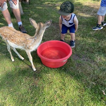 FORT RICKEY DISCOVERY ZOO - Updated October 2025 - 35 Photos & 10 ...